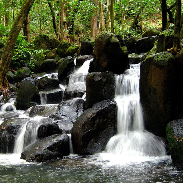 Las esencias :: Triskelenequilibrio